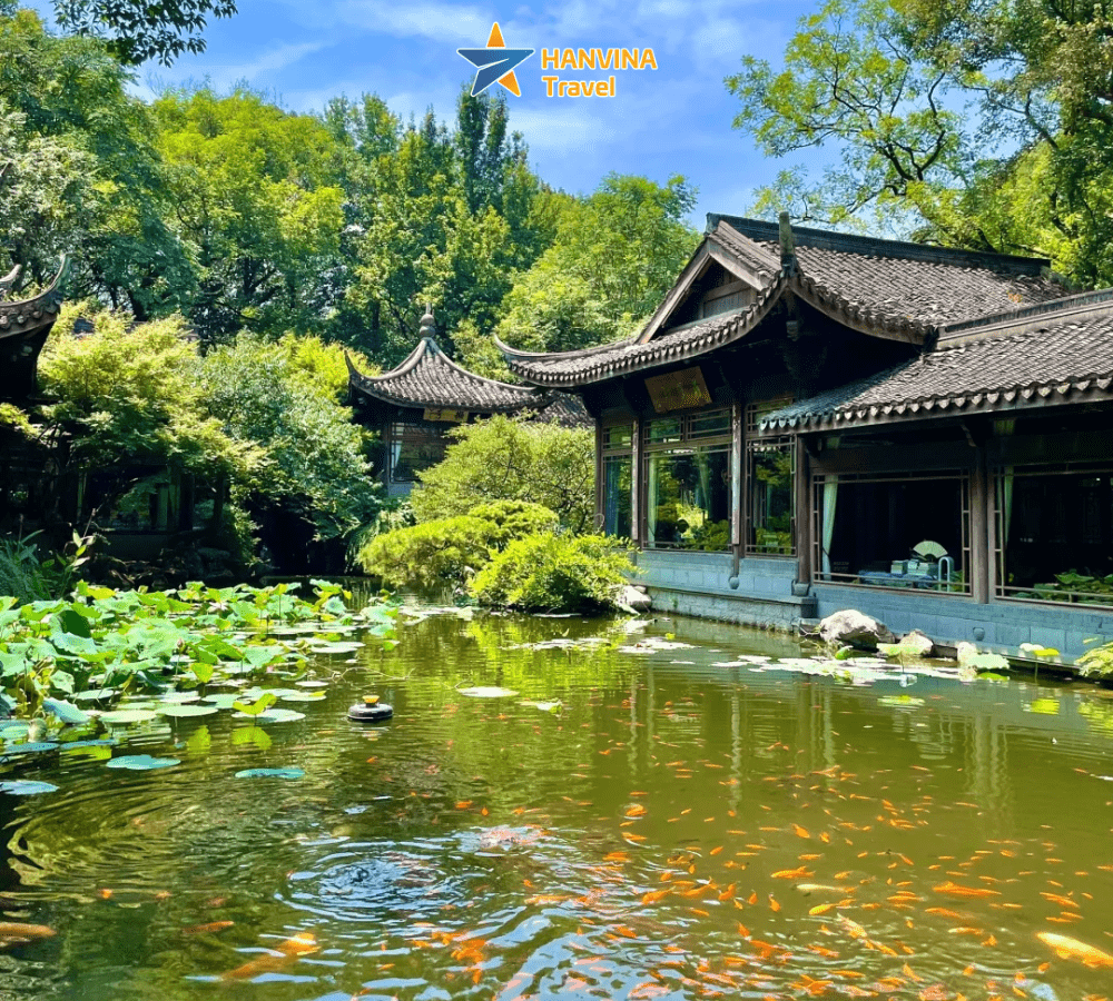 THƯỢNG HẢI - Ô TRẤN - HÀNG CHÂU